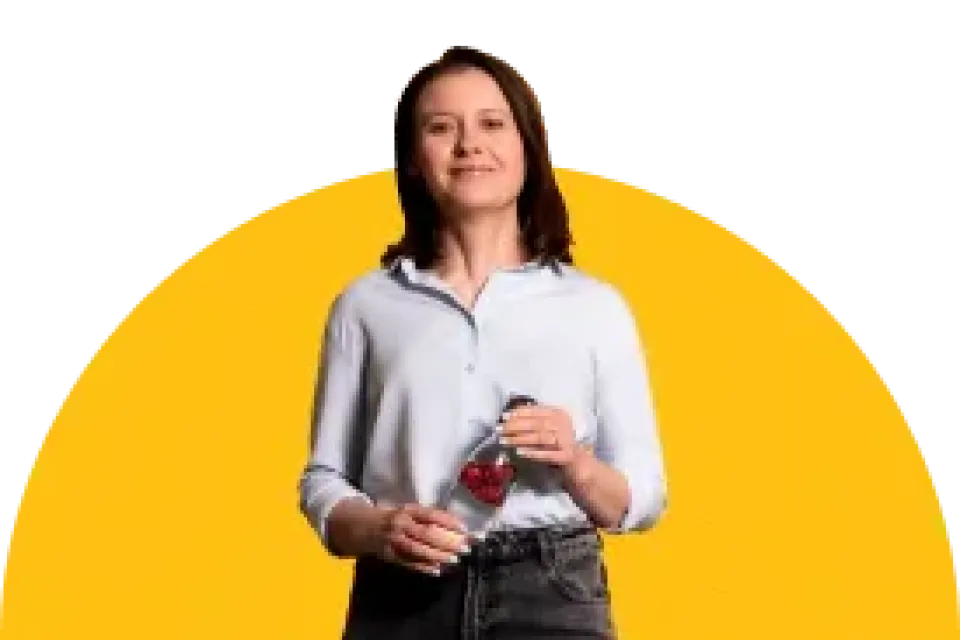 CCV Online Payments | CCV EU